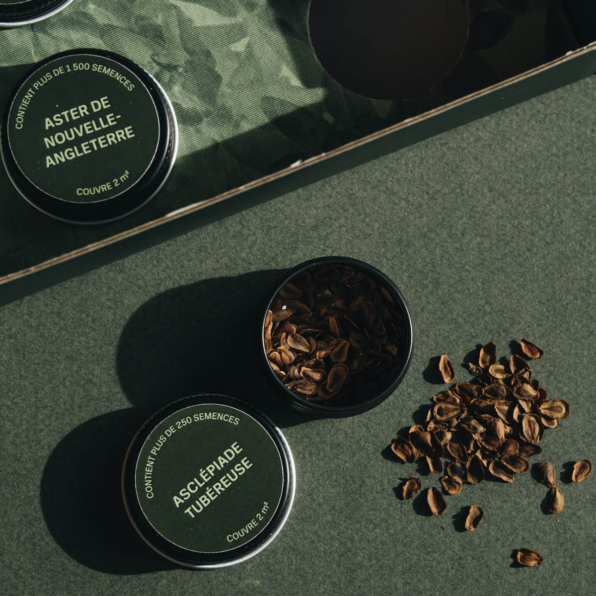 Coffret de semences - Îlot de biodiversité